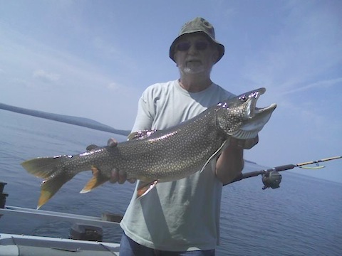 FISH REPORTS - 2014